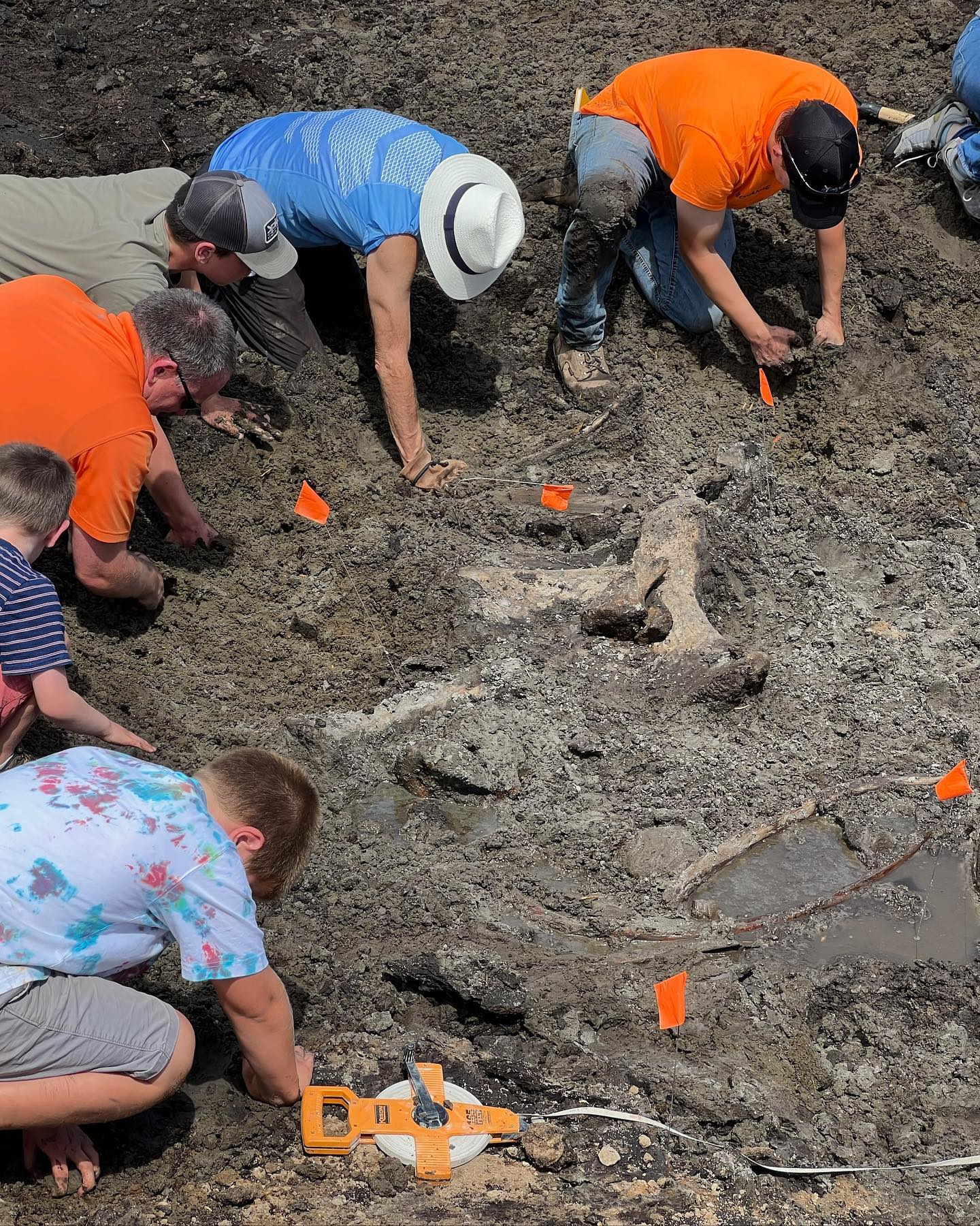 Construction crew finds mastodon bones in Michigan | Equipment World